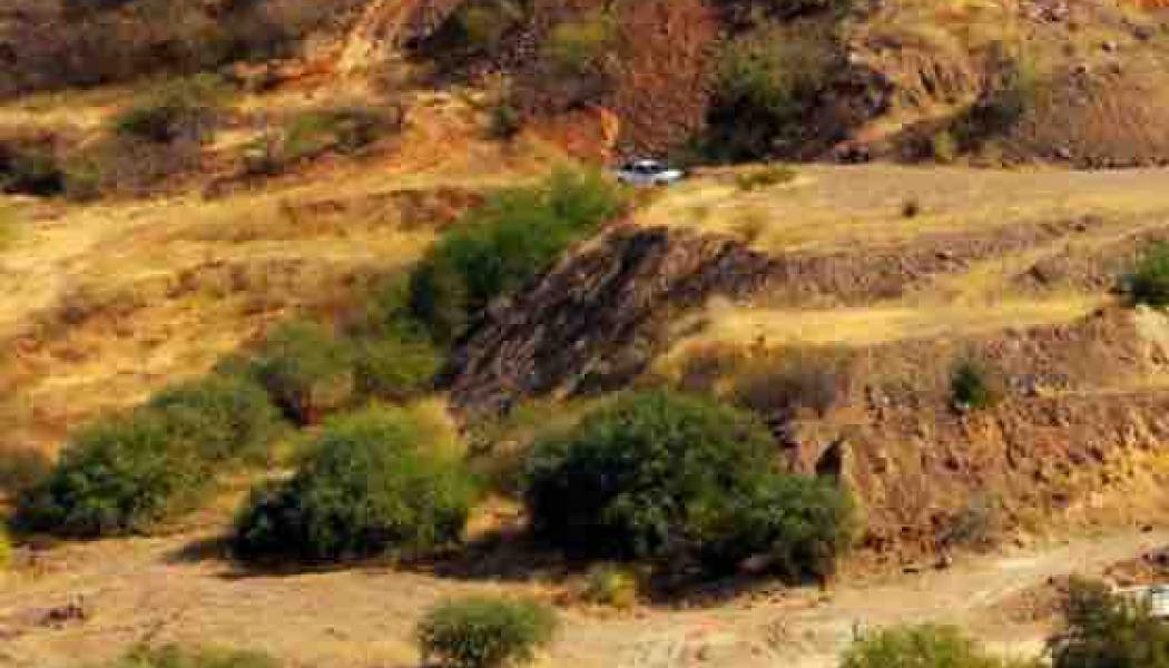 Joint venture develops Mexican gold-copper project | MININGMETALnews.com