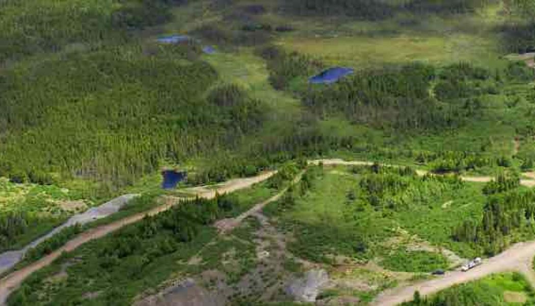 Canadian miner to launch exploration program at gold project ...