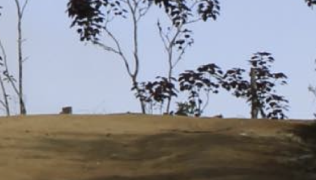 Adventus Mining signs deal with JOGMEC for Ecuador project ...