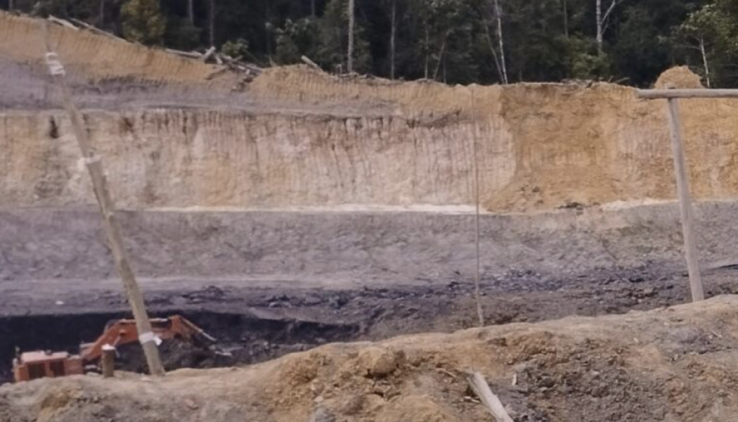 Indonesia’s Petrindo Jaya Kreasi completes take over of coal miner ...