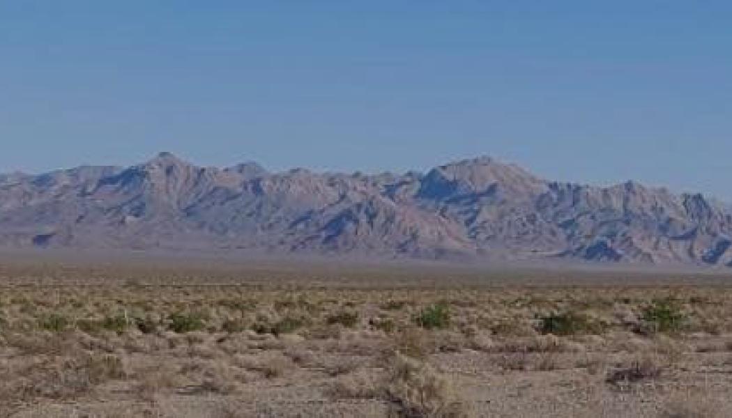 Canadian miner develops Peruvian lithium project | MININGMETALnews.com