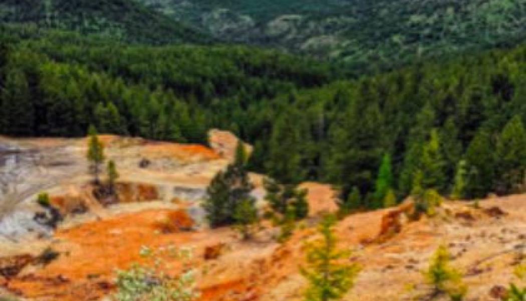 Miner advances drilling at gold project | MININGMETALnews.com