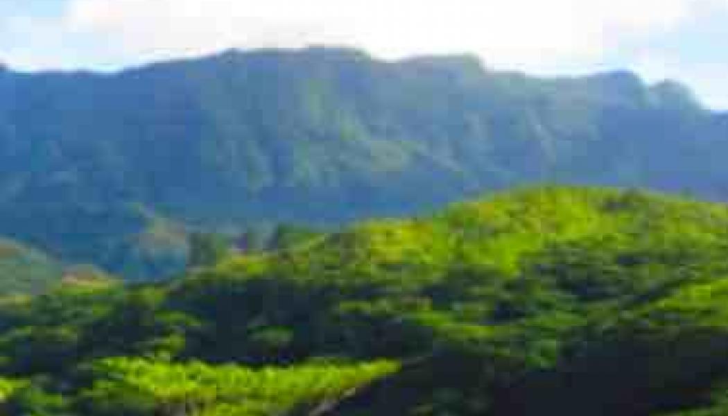 Miner advances Fiji gold project | MININGMETALnews.com