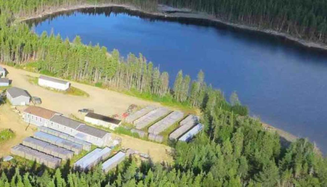 Canadian miner advances copper-gold project | MININGMETALnews.com
