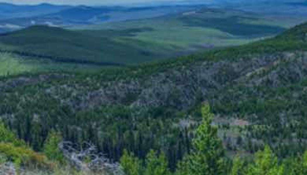 Canadian miner advances drilling at copper-gold project ...