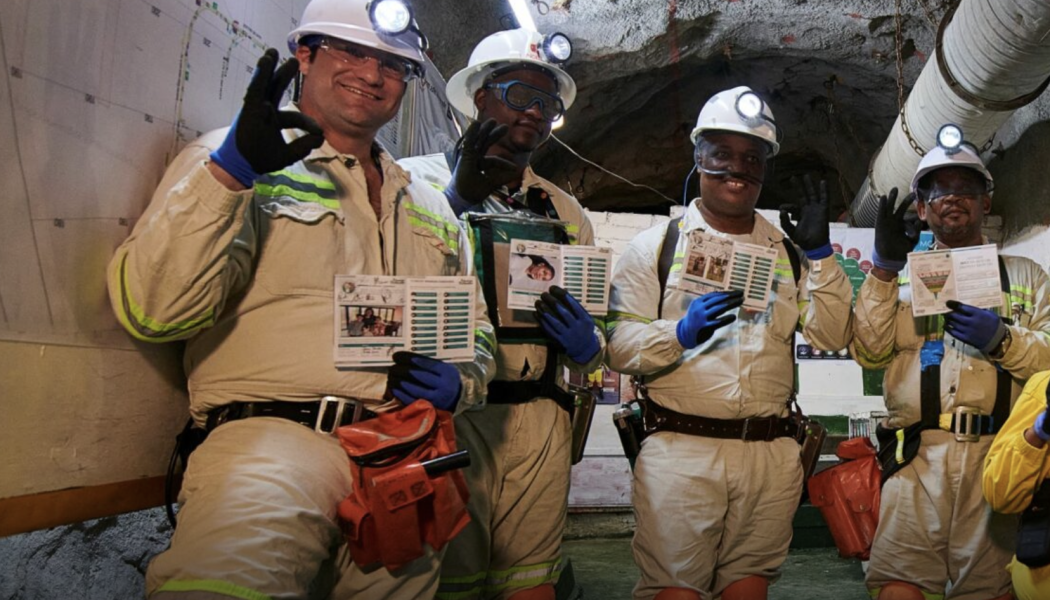 Two companies launch project to explore platinum-group metals for ...